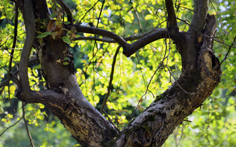 Love + Nature = Organic | Maria's Farm Country Kitchen